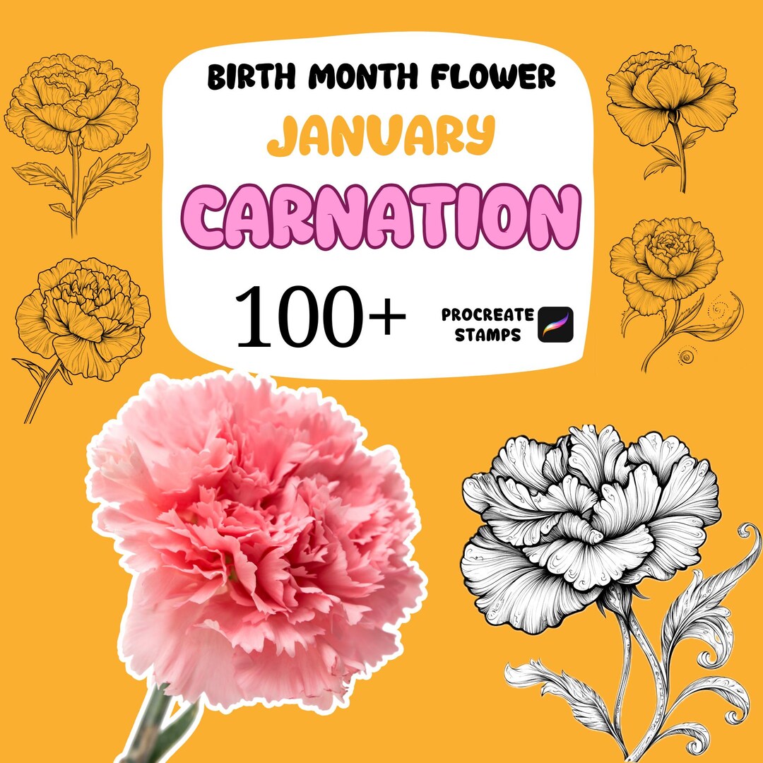 100+ Carnation Procreate Stamps, Birth Flower January, Carnation ...