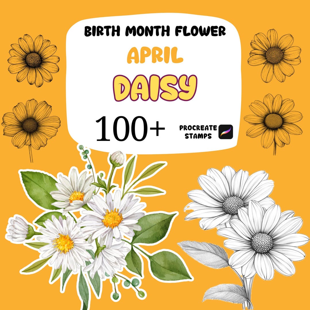 100+ Daisy Procreate Stamps, April Birth Flower Daisy, Floral Brushes ...