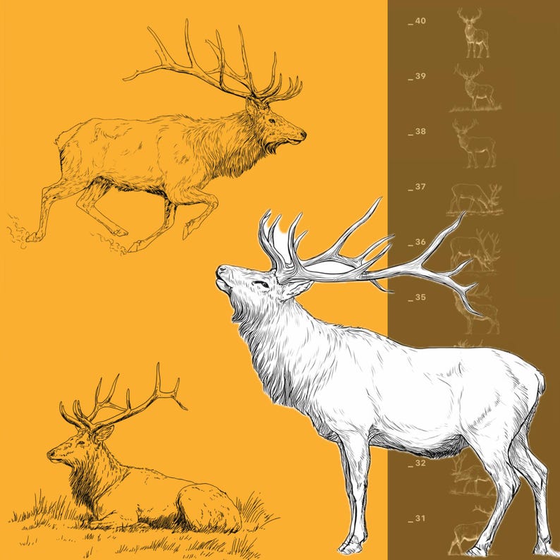 Procreate Animals Stamps | 120+ Elk Procreate Brushes | Animals ...