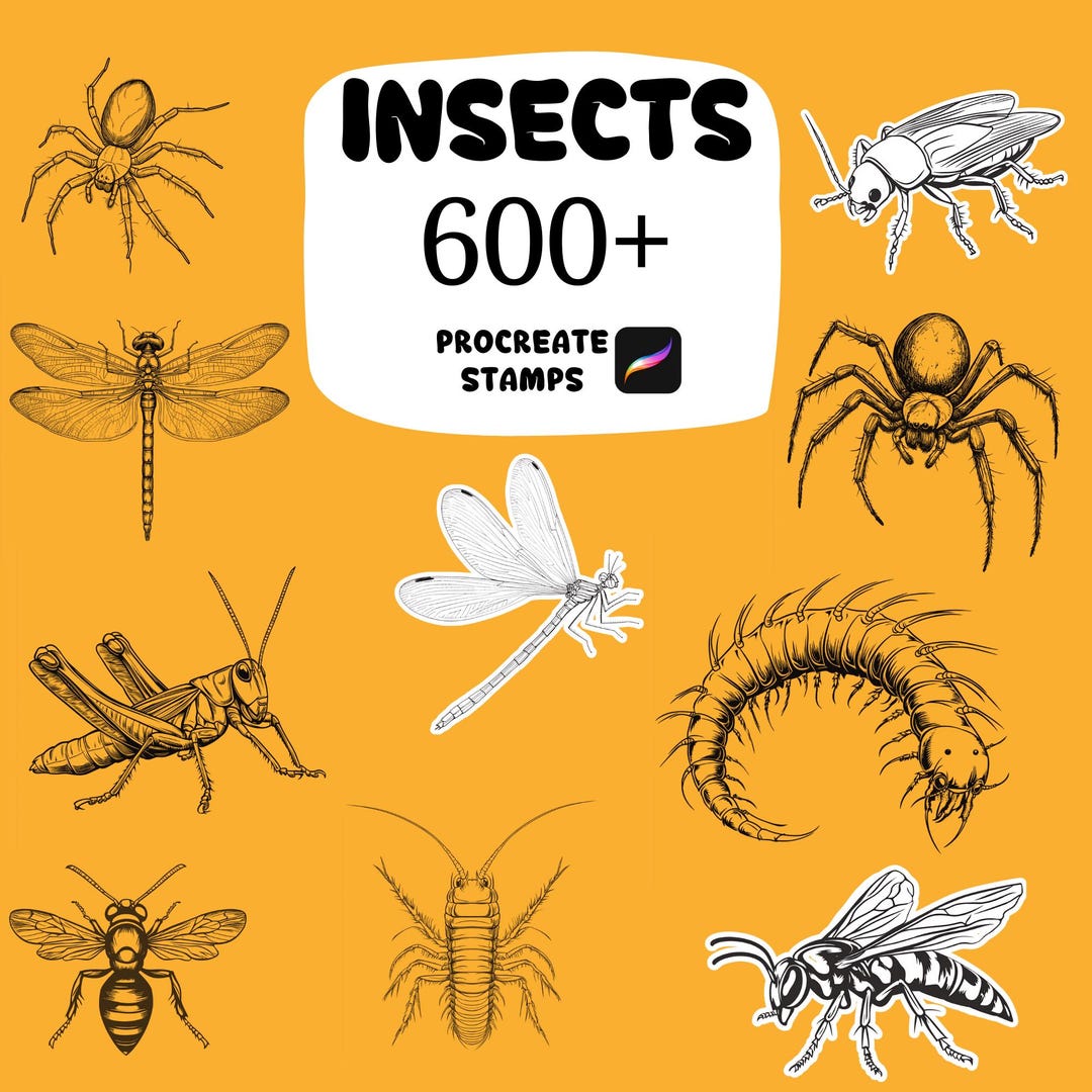 600+ Insects Procreate Brushes, Beetles, Butterflies, Bees, Moths ...