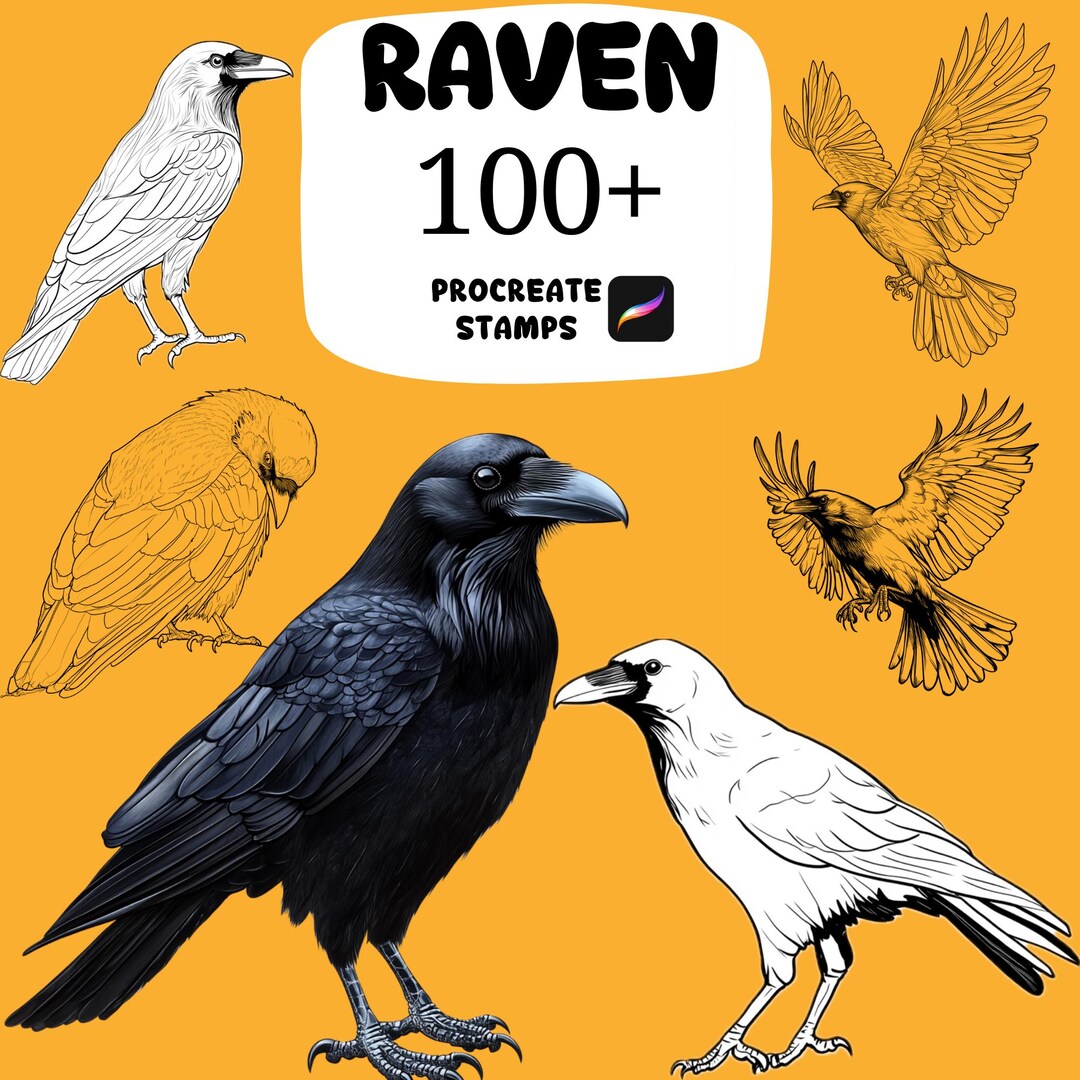 100+ Raven Procreate Stamps, Raven Bird Brushes, Crow Bird, Gothic Crow ...