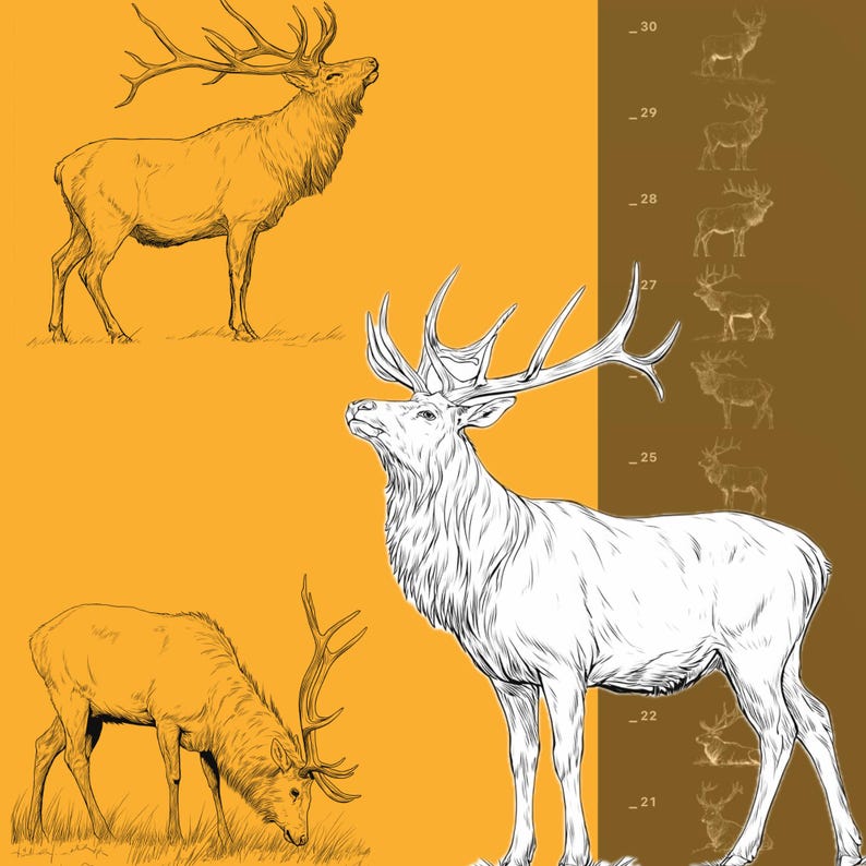 Procreate Animals Stamps | 120+ Elk Procreate Brushes | Animals ...