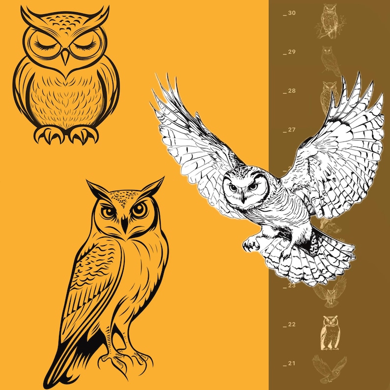 100+ Owl Procreate Stamps | Majestic Bird Brush Set | Realistic Flying ...