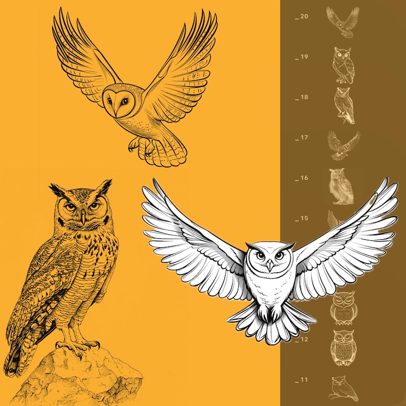 100+ Owl Procreate Stamps | Majestic Bird Brush Set | Realistic Flying ...