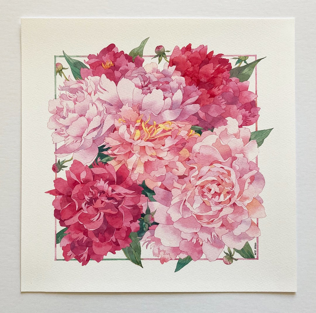 Watercolor Peonies Print, Floral Wall Art, 12x12 - Etsy