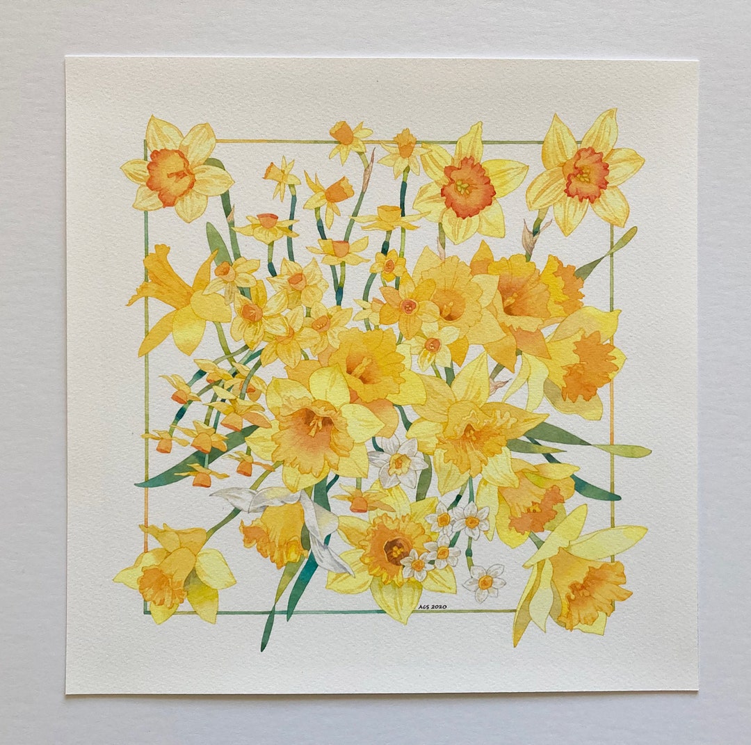 Daffodil Watercolor Print, Floral Wall Art, Signed 12x12, Mother’s Day ...