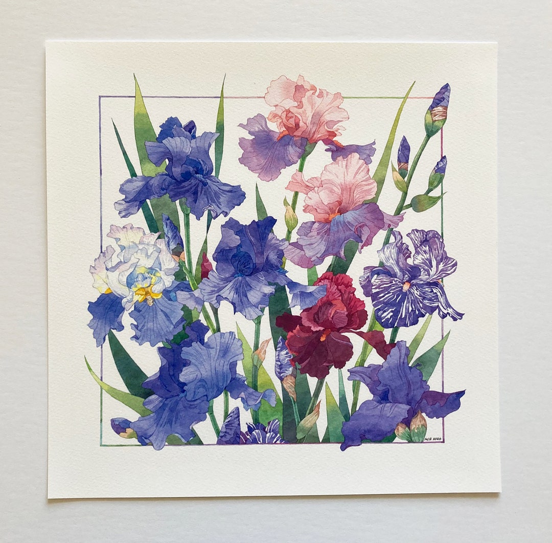 Watercolor Iris Art Print, Botanical Floral Wall Decor, Mother’s Day ...