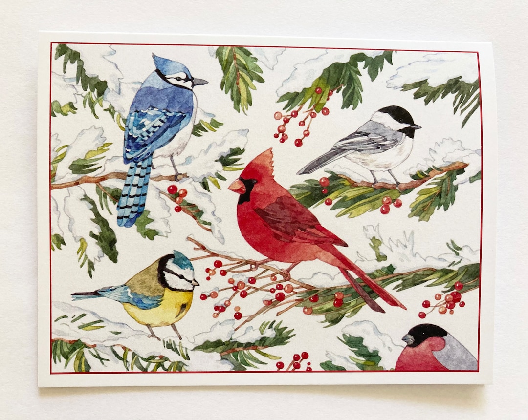 Watercolor Winter Birds Christmas Card Set, Holiday Stationery - Etsy