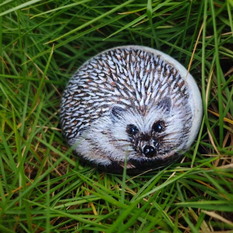 Paint Hedgehog Rock - Etsy