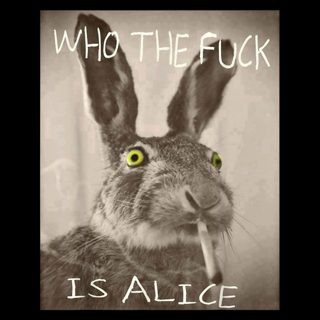 Who the F_ck is Alice PNG | Funny Retro Rabbit Smoking Meme Design ...
