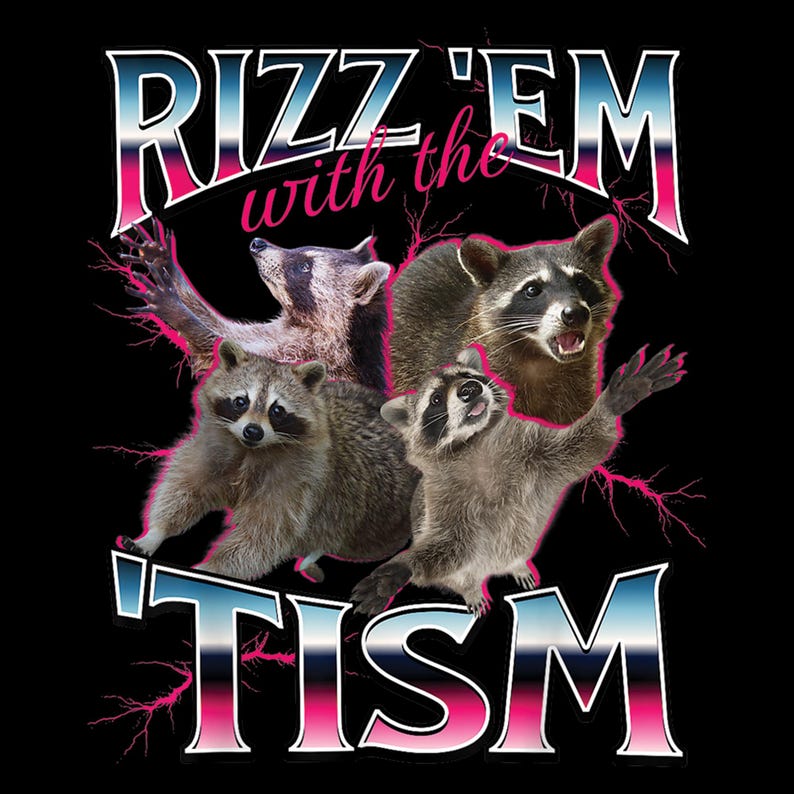Funny Raccoon PNG - Rizz ‘em With the ‘tism Digital Design - Meme ...