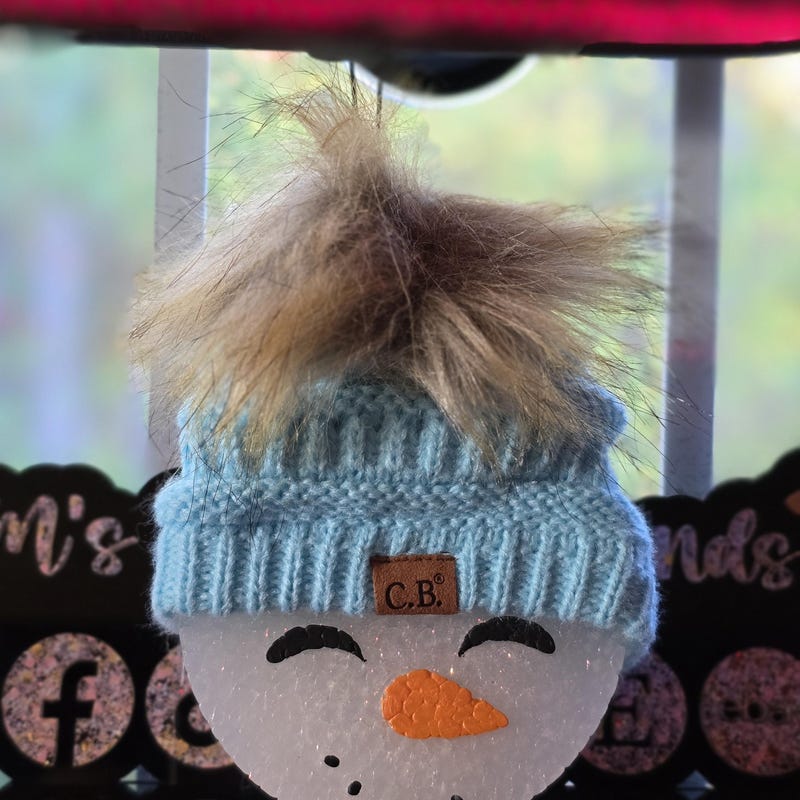 Freshie With a Beanie - Etsy