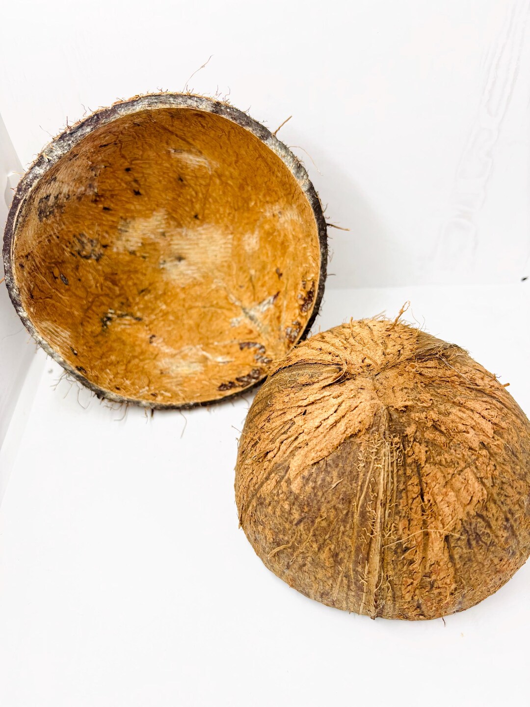 Cocunut Shell Coconut - Etsy