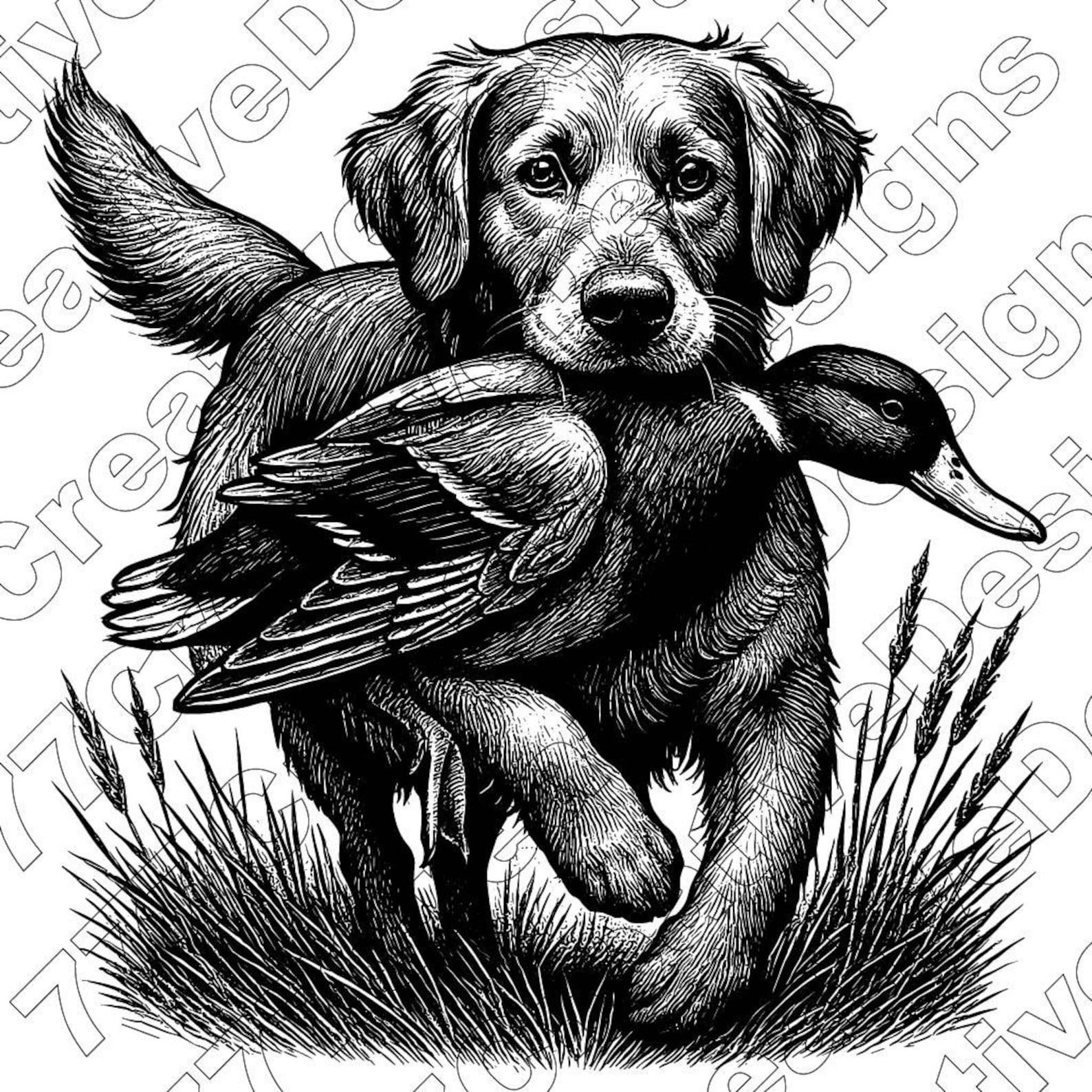 Duck Hunting Vector Illustration, Duck Svg, Duck Png, Duck Jpg, Duck ...