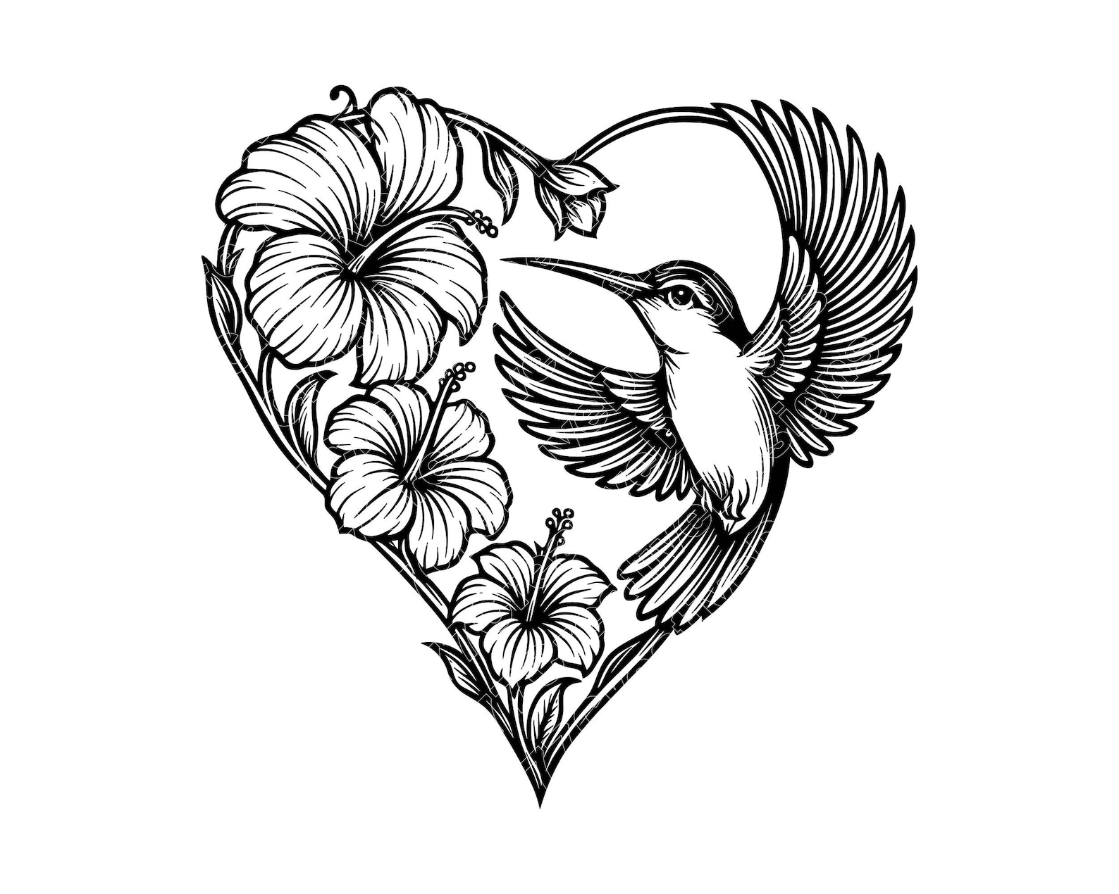 Hummingbird Heart Vector Illustration, Hummingbird SVG, Hummingbird PNG ...