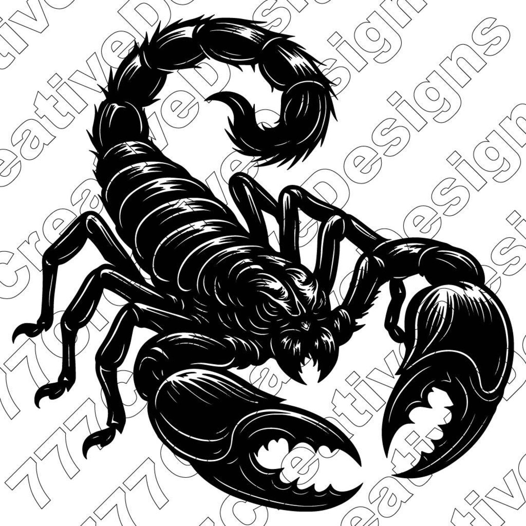 Scorpion Vector Illustration, Scorpion Svg, Scorpion Png, Scorpion Art ...