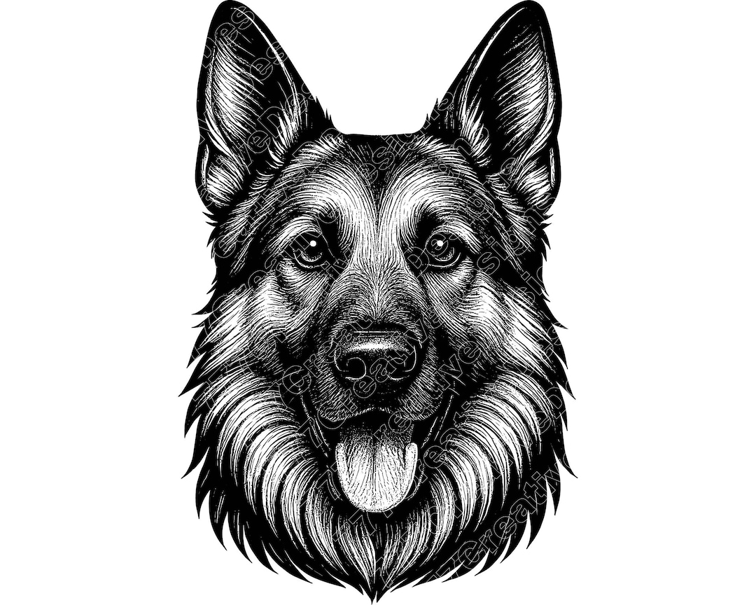 German Shepherd Dog Vector Illustration, German Shepherd SVG, German ...
