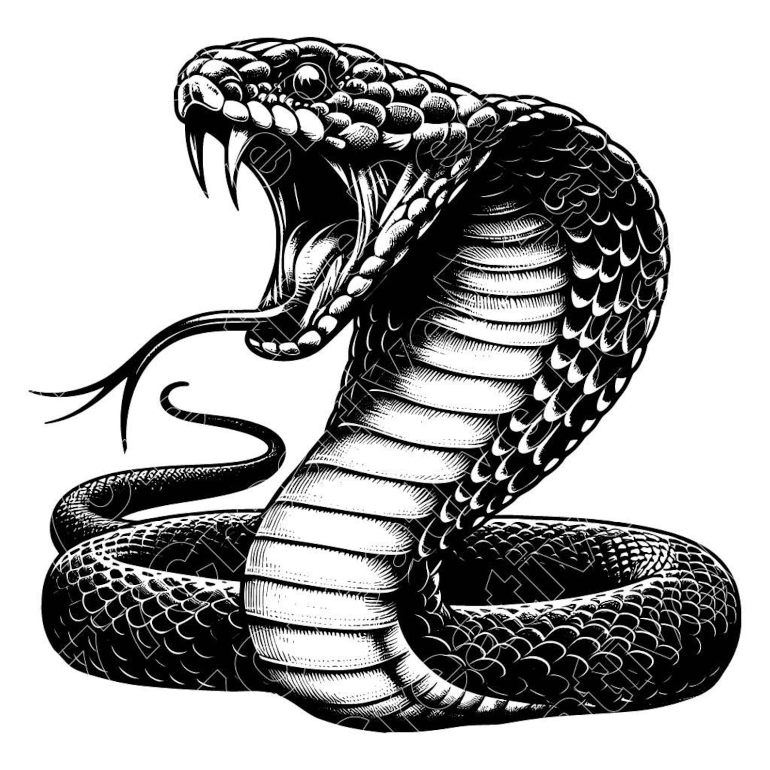 Fierce Snake Vector Illustration, Snake Svg, Snake Png, Snake Art ...