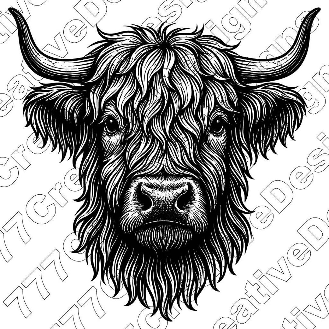 Highland Cow Vector Illustration, Highland Cow Svg, Cow Png, Cow Jpg ...