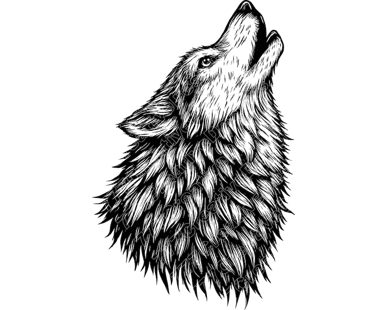 Wolf Howling Head Portrait Vector Illustration, Wolf SVG, Wolf Head PNG ...