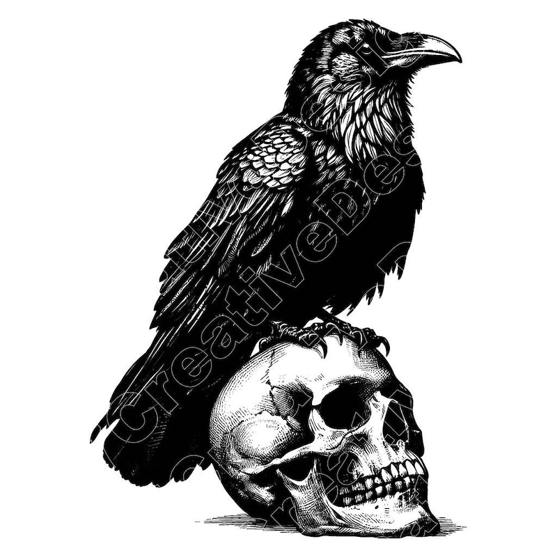 Raven Skull - Etsy