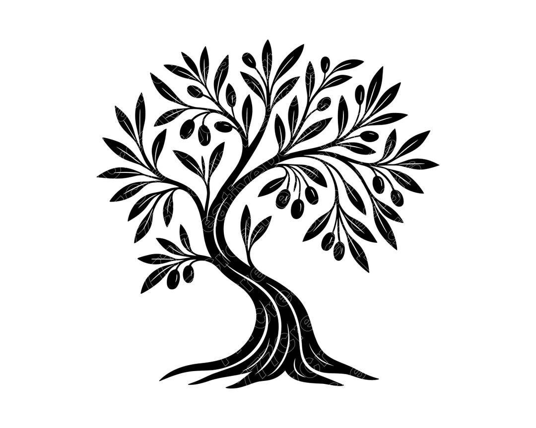 Olive Tree Vector Illustration, Olive Tree SVG, Olive Tree PNG, Olive ...