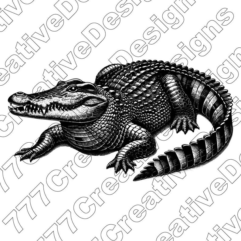 Crocodile Ai, Eps, Svg, Jpg, Png, Dxf, Cricut, Vector Black Silhouette ...