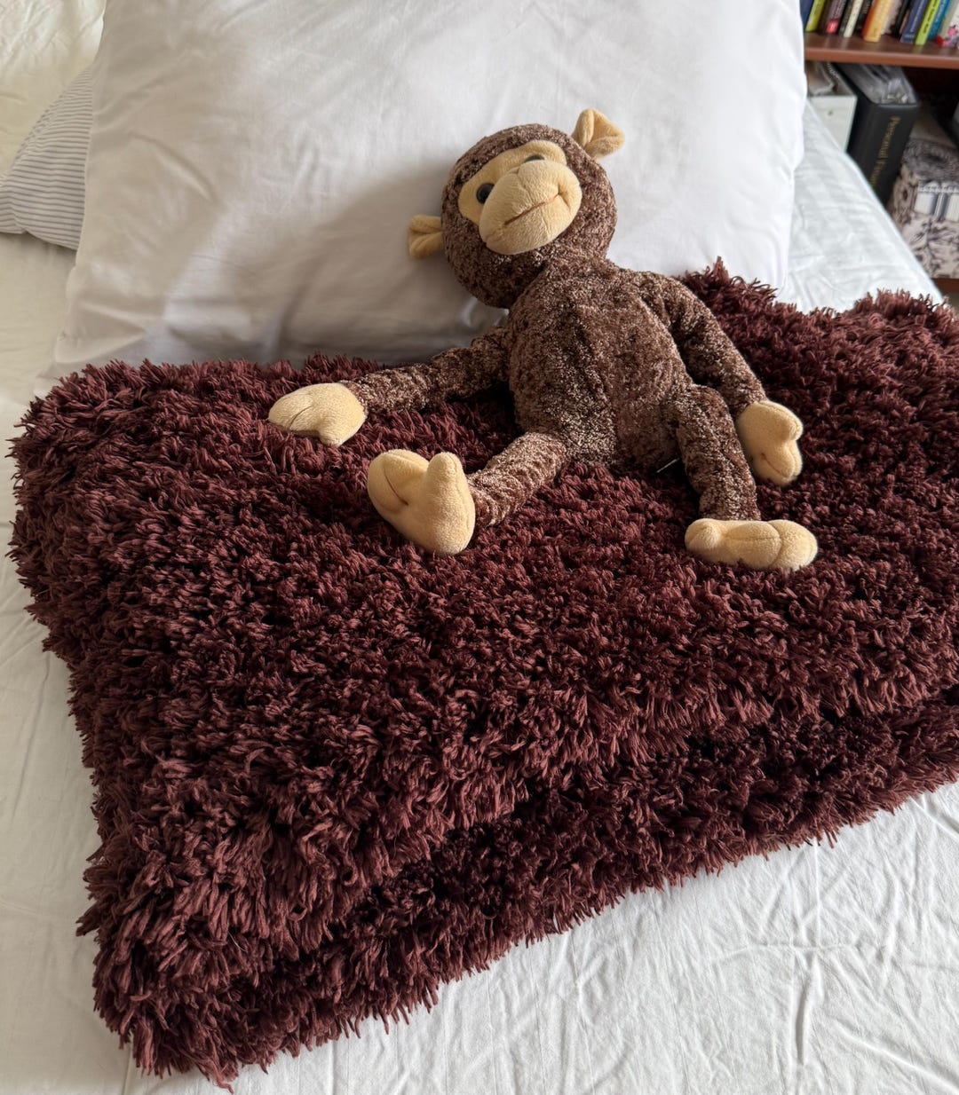 Furry Blanket for Kids, Cozy Fluffy Blanket, Furry Throw Blanket for A ...