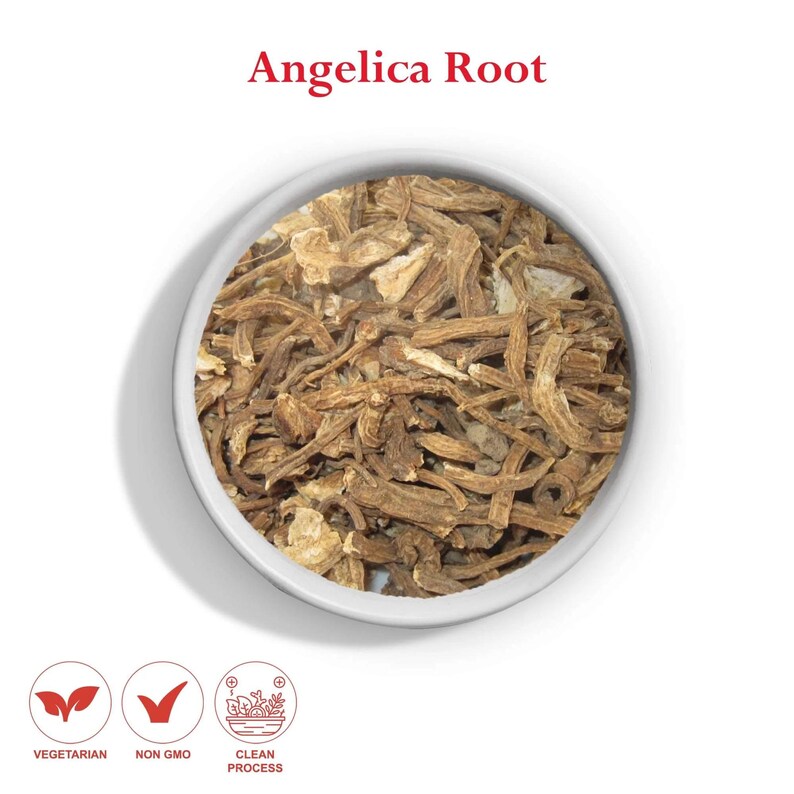 Organic Dried Angelica Root – Cut & Sifted Archangelica for Tea ...