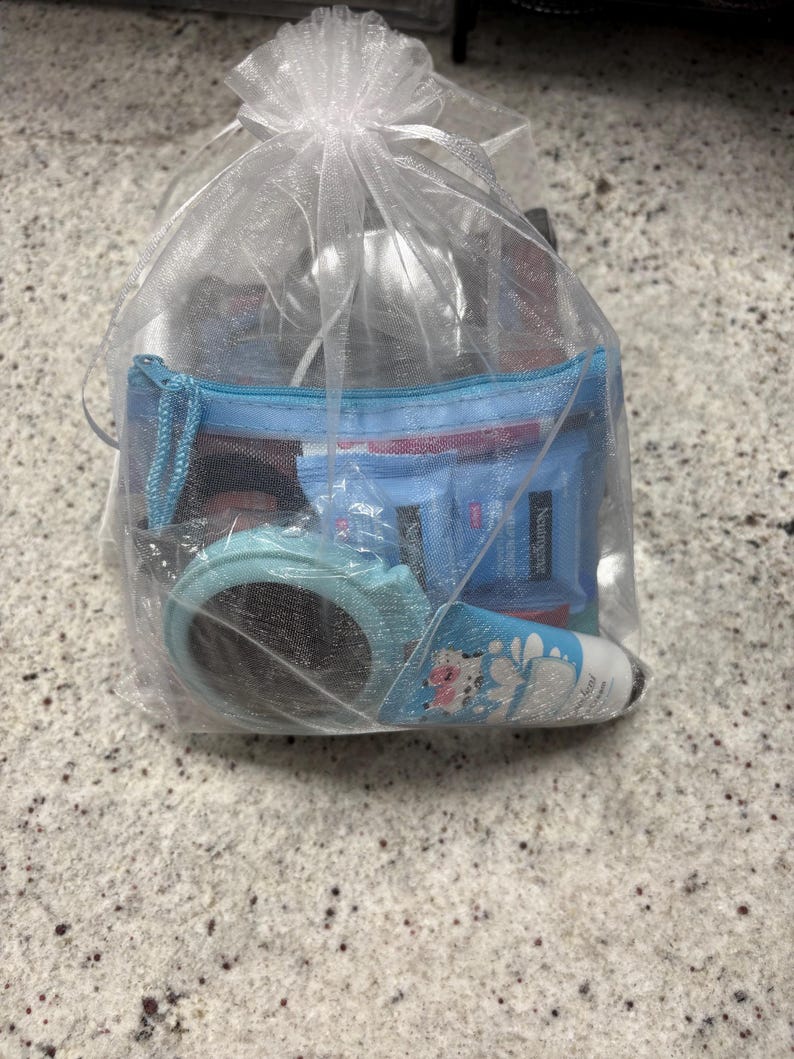 Purse Essentials Kit - Etsy