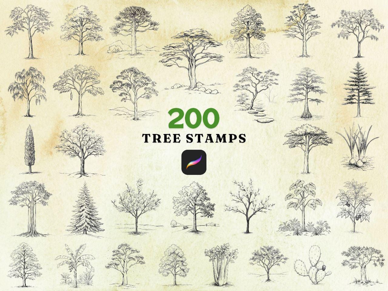 200 Tree Procreate Brushes - Complete Collection for Nature-inspired ...