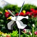 Seagull Wind Spinner, Yard Wind Spinner, Garden Windmill, Kinetic ...