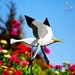 Seagull Wind Spinner, Yard Wind Spinner, Garden Windmill, Kinetic ...