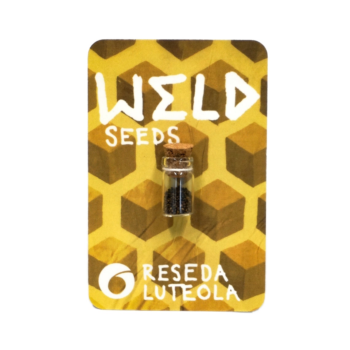 Weld Seeds : Yellow Natural Dye Plant - Etsy