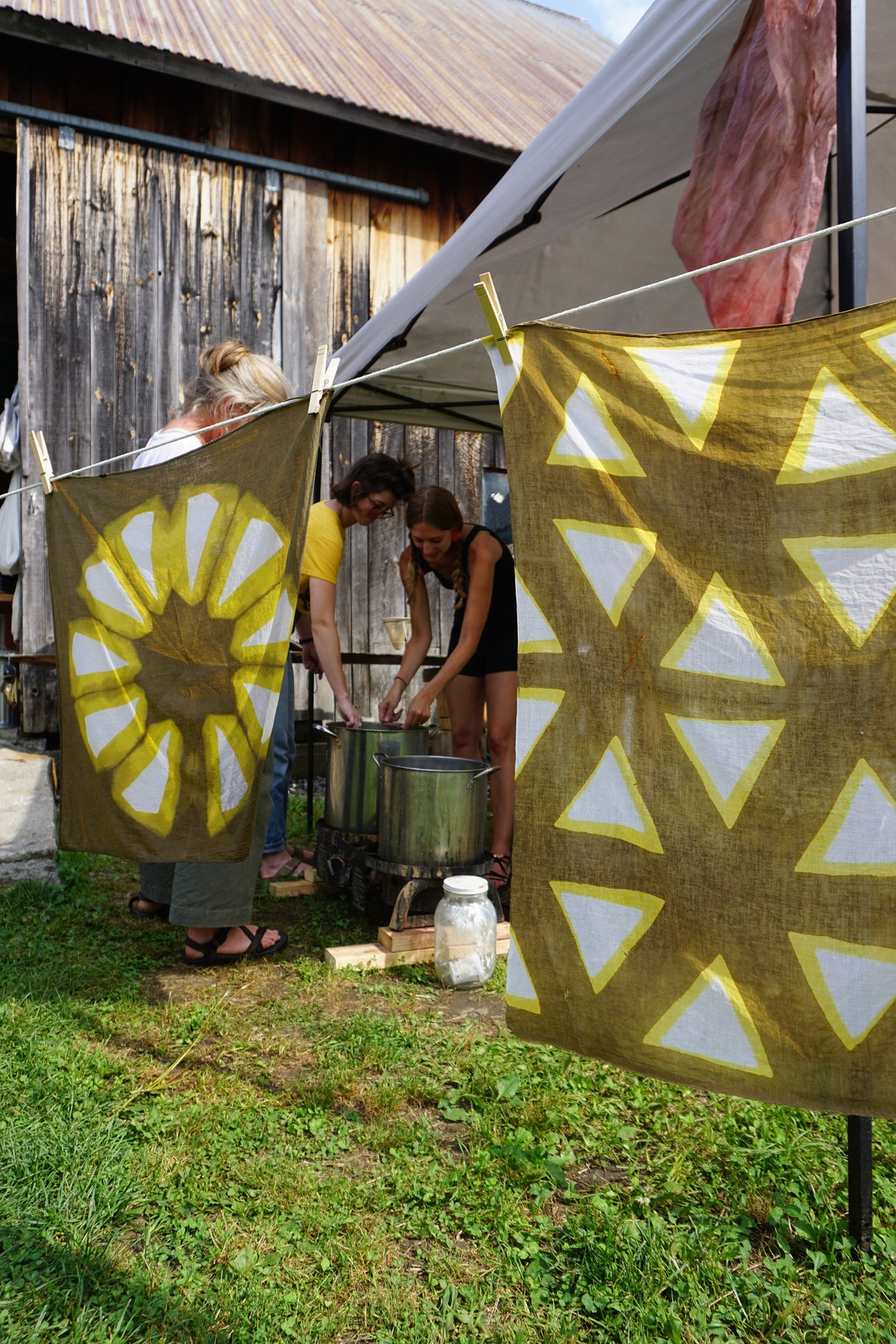 Weld Seeds : Yellow Natural Dye Plant - Etsy