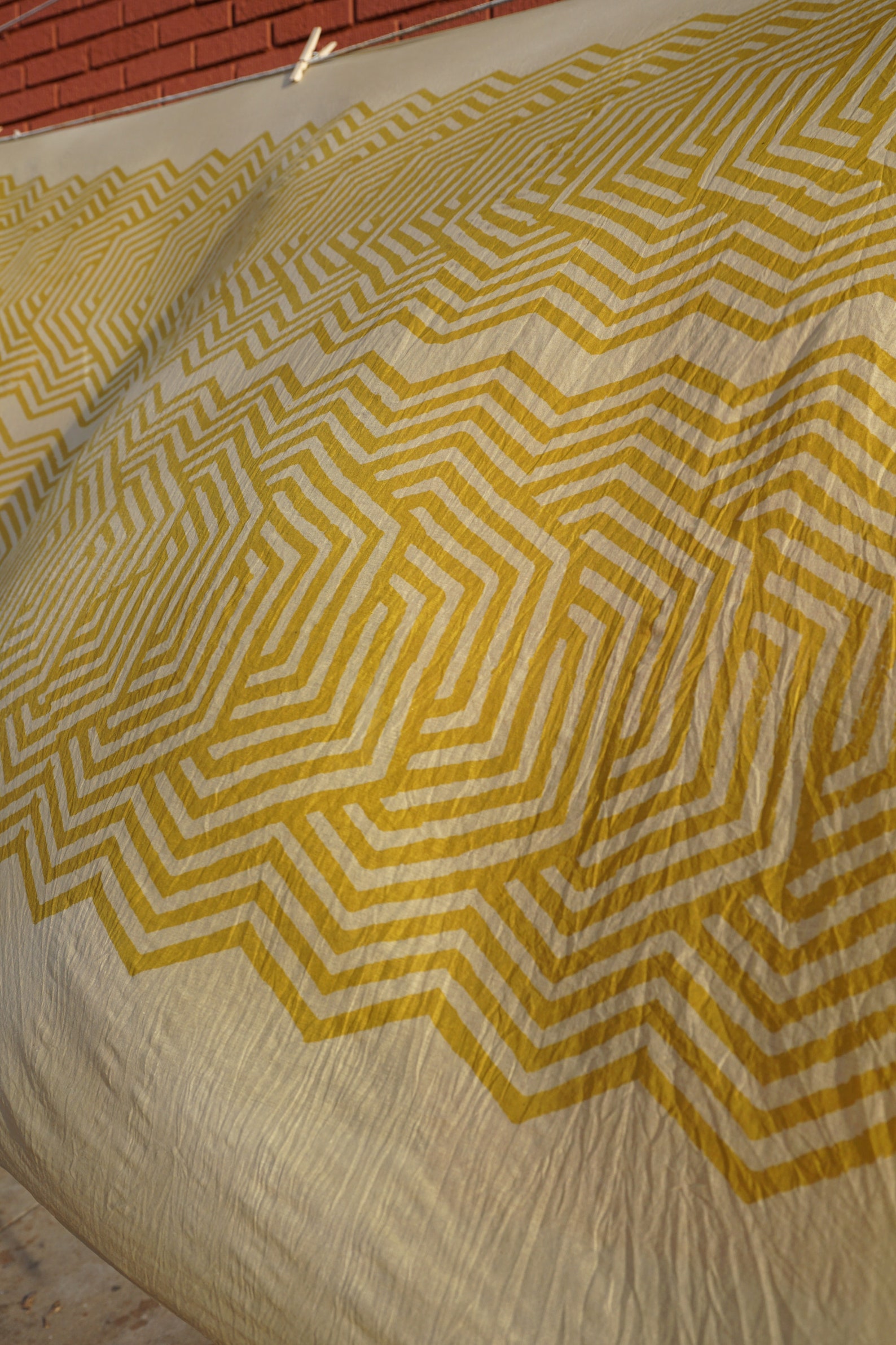 Weld Seeds : Yellow Natural Dye Plant - Etsy