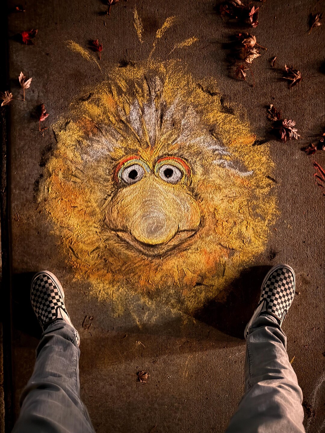 Chalk Art Big Bird Artist POV Viewer - Etsy