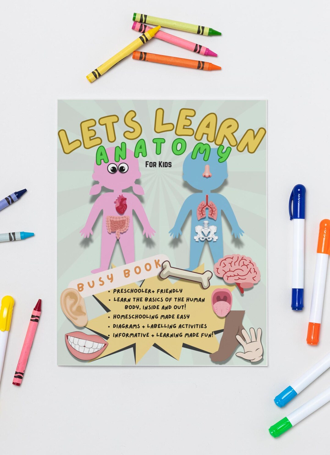 Anatomy for Kids, Busy Book, Human Body Learning, Activity Book ...