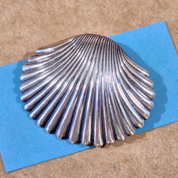 Seashell Brooch - Etsy