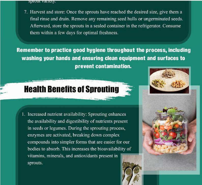 Produce Storage Guide – Fruit Vegetable Buying Tips (digital Bundle ...