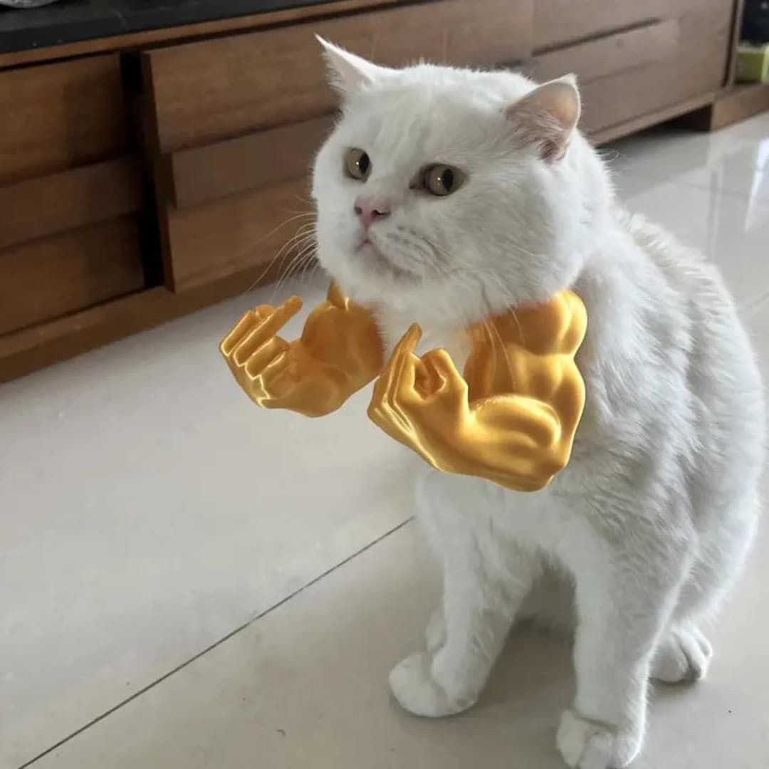 Buy Funny Cat Costume – Buff Muscle Arms Pet Accessory for Hilarious ...