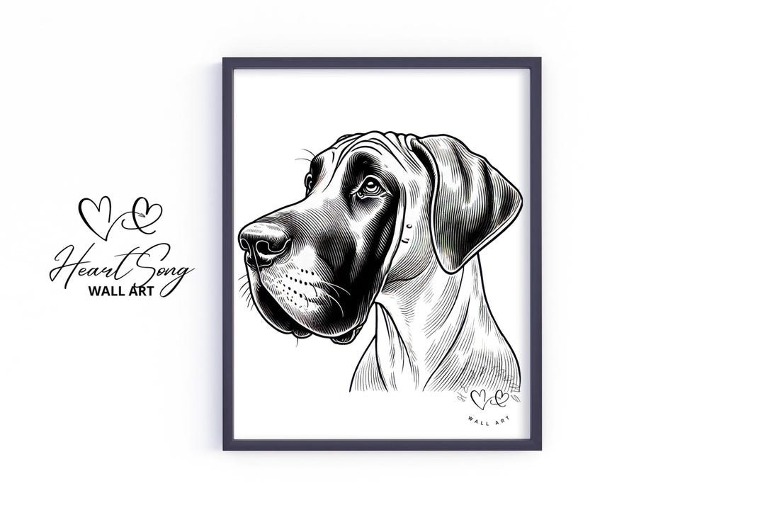 Great Dane Dog Line Drawing Art - Black and White Vintage Pet Portrait ...
