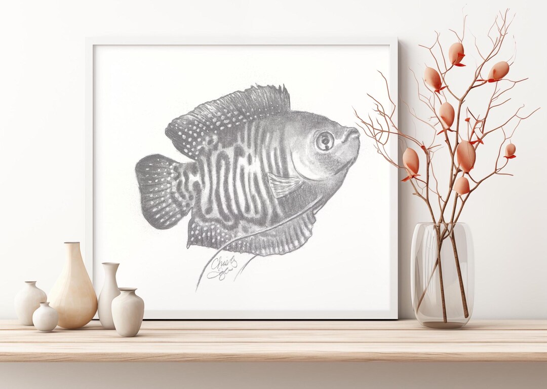 Fine Art Printable | Gourami Digital Download | Hand Drawn Sketch ...