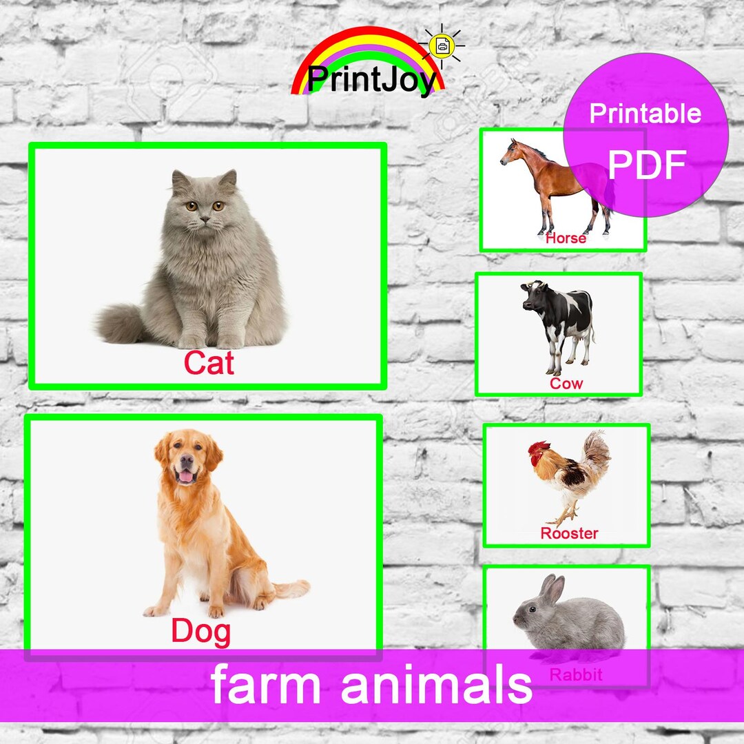 Animal Flashcards, Printable Flashcards, Animal Cards for Kids, Animal ...