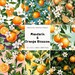 Mandarin & Orange Blossom Seamless Pattern | Watercolor Floral Digital ...