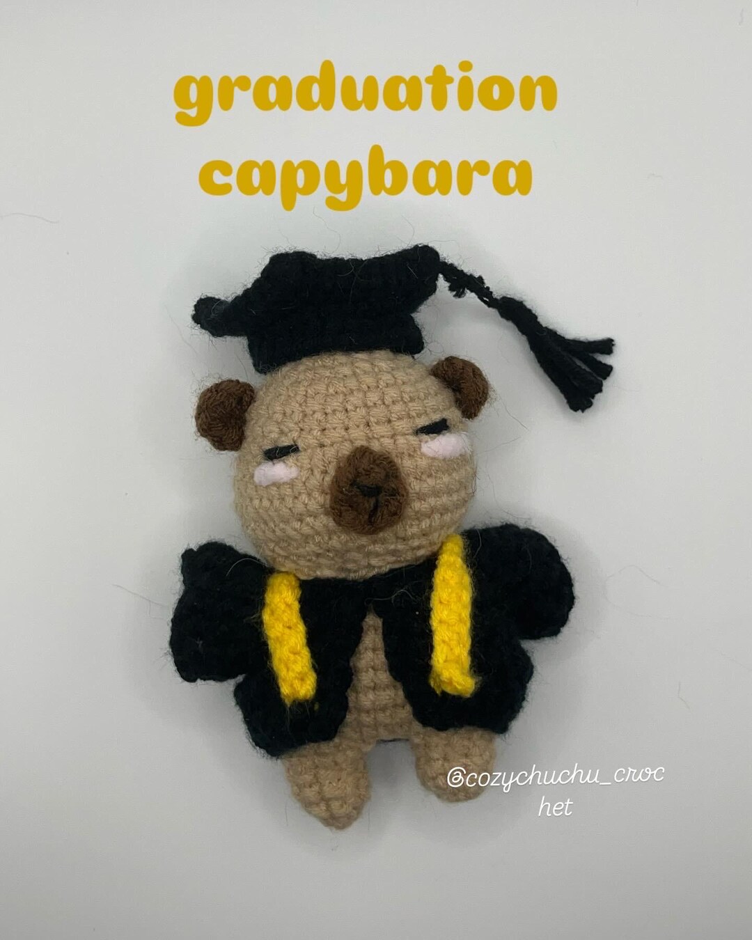 Handmade Graduation Capybara in Robe and Cap | Graduation Gift L Robe ...