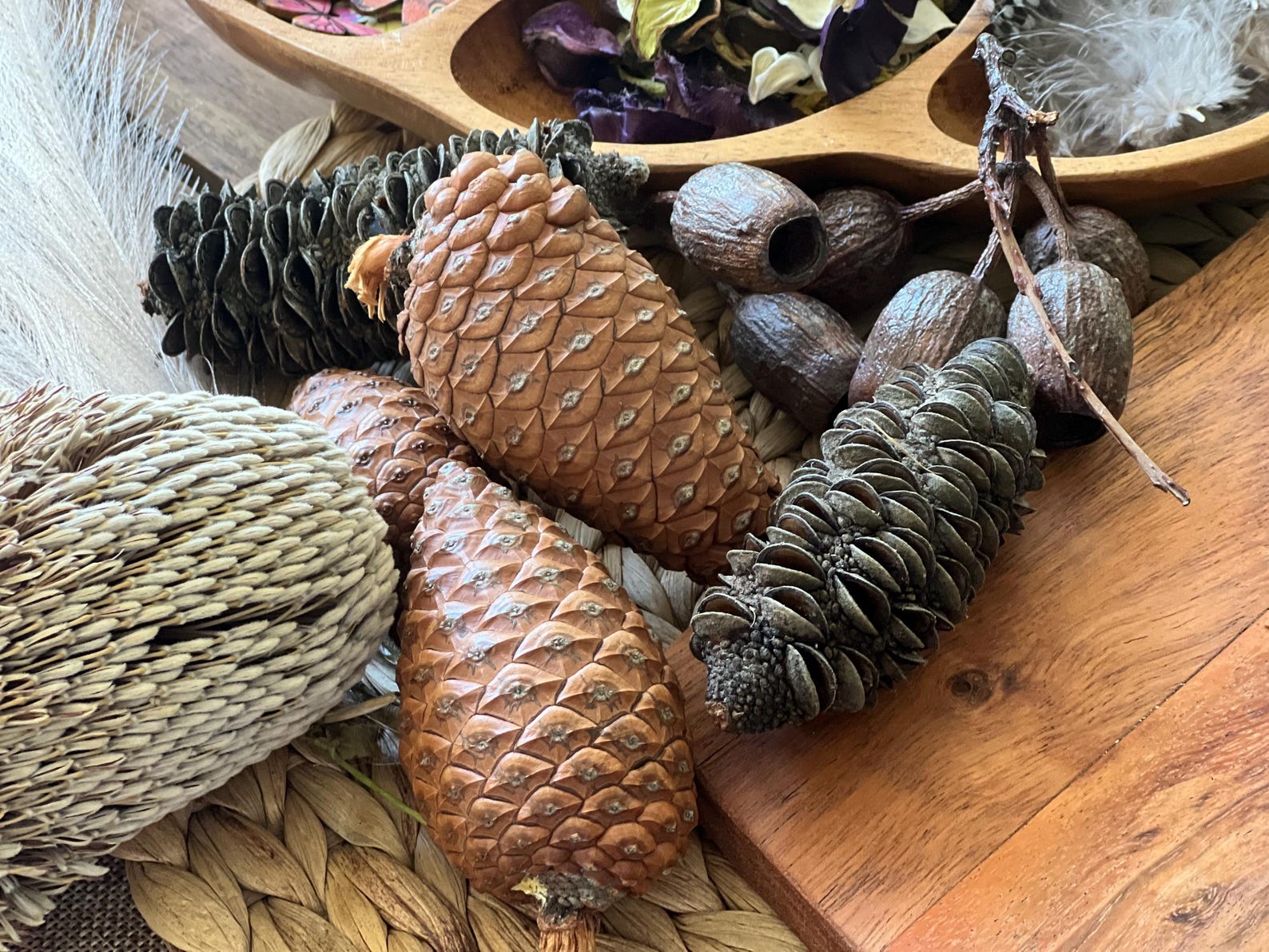 Nature Sensory Play Packs, Nature Boxes, Nature Sensory Play Boxes ...