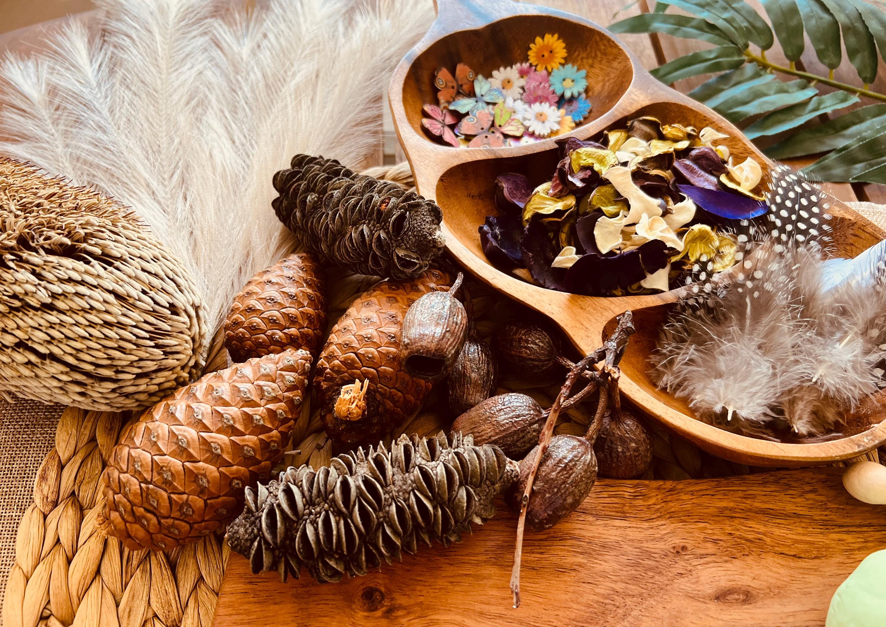 Nature Sensory Play Packs, Nature Boxes, Nature Sensory Play Boxes ...