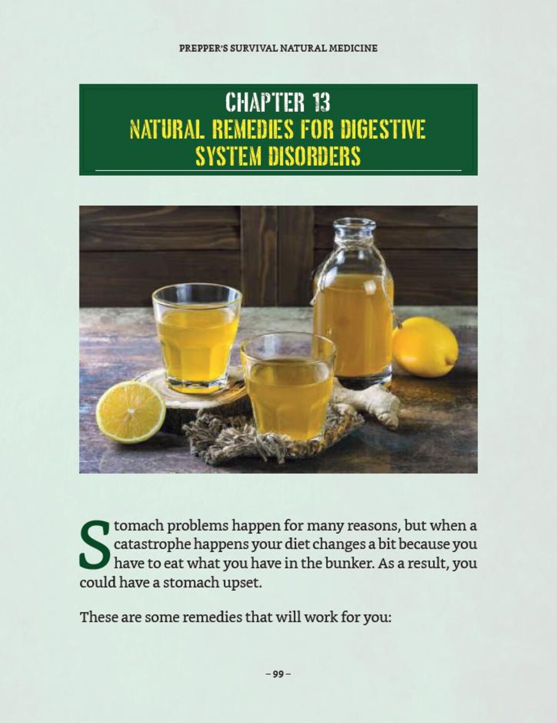 The Prepper's Survival Natural Medicine: Emergency Manual When There is ...