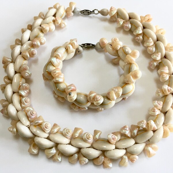 Trochus Shell - Etsy